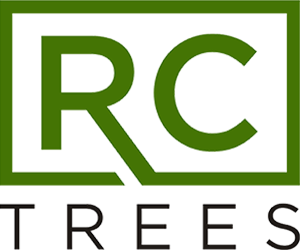RC Trees: a Central Florida Tree Farm and Plant Nursery